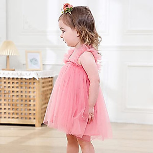 Century Star Tulle Tutu Dress Baby Toddler Girls First Birthday Outfit 1 One Year Old Gifts Easter Festival Dress Up Sundress with Flower Headband Light Pink 12 Months