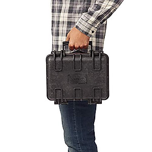 Amazon Basics Small Hard Camera Carrying Case - 12 x 11 x 6 Inches, Black