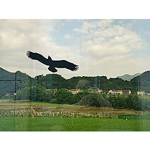 Anti-Collision Window Bird Stickers Glass Door Protection Save Birds Window Decals, 12 Pcs (Combinations)