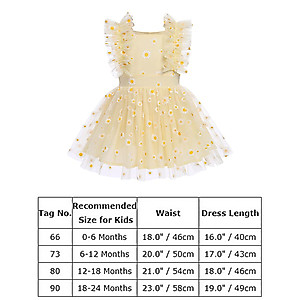 Newborn Infant Baby Girl Ruffle Tutu Romper Dress 1st 2nd Birthday Party Cake Smash Outfit Toddler Summer Flutter Sleeveless Floral Princess Tulle One-picece Baptism Pageant Dress Yellow Daisy 18-24M