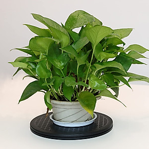 MUKCHAP 4 Pack 10 Inch Rotating Swivel Stand Turntable, 360° Round Swivel Turntable with Steel Ball Bearings, Multi-use Lazy Susan for Various Utility Uses, 55 Lbs Carrying Capacity