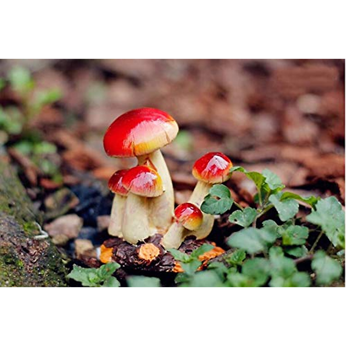 MUAMAX 2 Packs Fairy Garden Mushroom Small Figurines Miniature Garden Mushrooms Fairy Garden Mushrooms Small Little Tiny Mushroom Ornaments Micro Mushroom Figurines Plants Bonsai Craft Decor