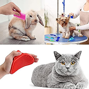 NA Allazone 13 PCS Rabbit Grooming Kit Small Animal Grooming Supplies, Double-Sided Comb, Rabbit Brush for Shedding, Nail Clipper and Trimmer, Toothbrush for Bunny Rabbit Hamster