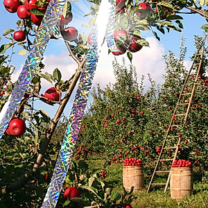 EONBES 2 * 360ft Bird Scare Tape Flash Ribbon Holographic Reflective Outdoor Mylar Ribbon - Keep Birds Away from House and Garden