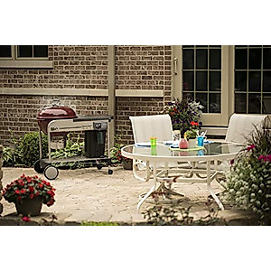 Weber-Stephen Products 15503001 Perf PRM 22" Crim Grill