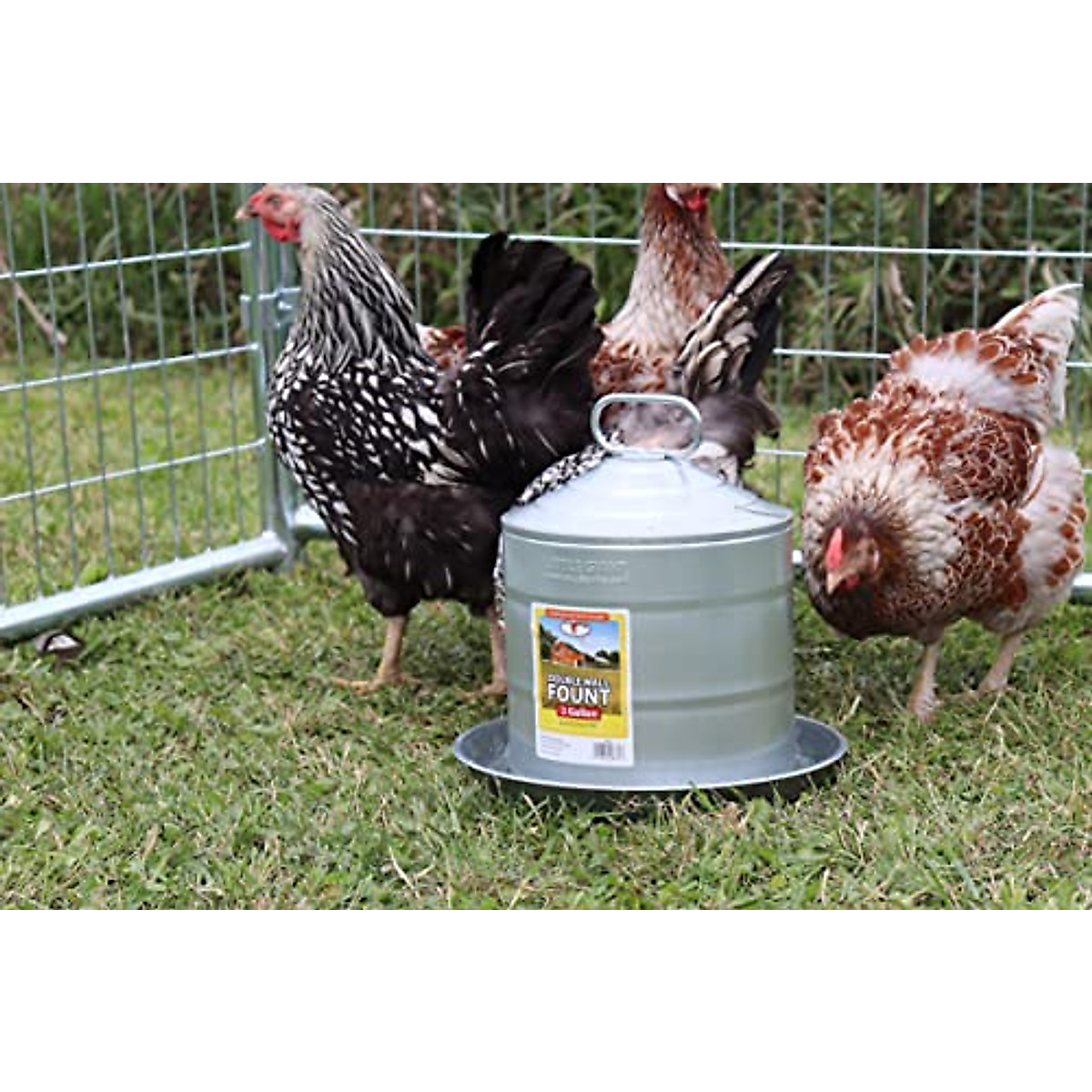 Miller 9835 5-Gallon Galvanized Poultry Fountain