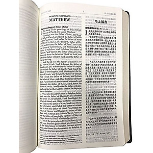 Bilingual English Chinese Holy Bible / English Standard Version - Revised Chinese Union Version, Simplified Chinese / ESV/RCUV / Blue Pearl Vinyl with Golden Edges, Maps, Large Chinese Characters