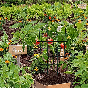 Trellis for Potted Plants, Garden Trellis Stackable Plastic Potted Plant Support DIY Indoor Outdoor Frame for Climbing Plants Vines Vegetable Cucumber Flower Pots Trellis 9 Packs