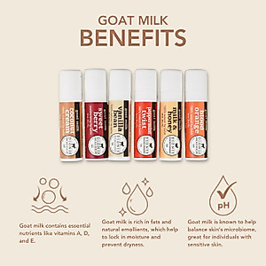 Dionis Goat Milk 6 Pc Lip Balm Ornament - Vanilla, Coconut, Milk & Honey, Berry, Peppermint & Blood Orange Scented Chapstick - Shea Butter & Coconut Oil, Protect & Restore Lips 0.28oz