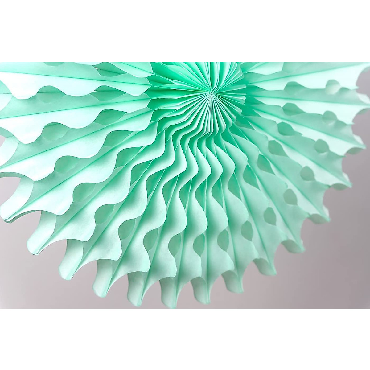 Boho Rainbow Party Decorations/Mint Peach Birthday Party Decorations/Mint Peach Baby Shower Decorations/7pcs Tissue Paper Fan Flower/Mint Peach Wedding Bridal Shower/