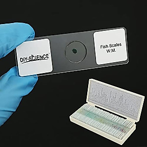 50pcs Prepared Microscope Slides Set with Specimens, Plants Insect Animal Microbe Human Tissue Slides Set for Basic Biological Science Education (50pcs)