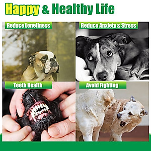 EXPAWLORER Squeaky Tennis Balls for Dogs-12 Pack High Elastic Dog Balls for Aggressive Chewers,Interactive Dog Chew Toys for Training, Fetching, Chewing, Playing for Dogs Christmas Toys