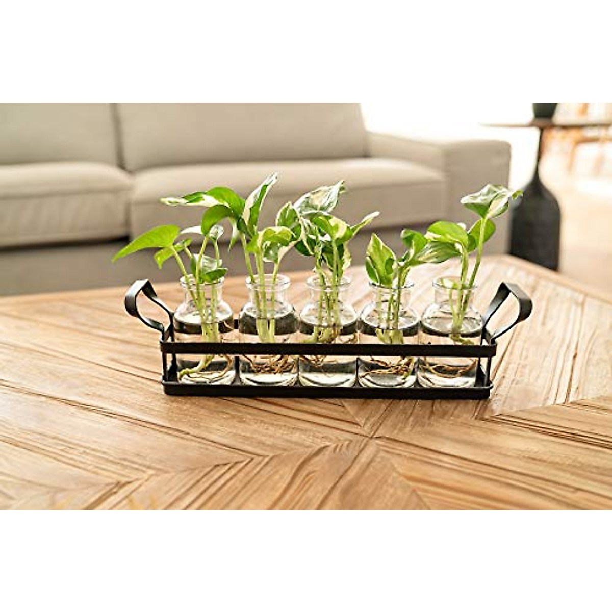 Mkono Plant Terrarium with Metal Stand, Retro Glass Planter Tabletop Flower Vase Perfect for Propagating Hydroponic Plants Flower Cutting Cute DIY Centerpiece Home Office Garden Decor, 5 Bottle