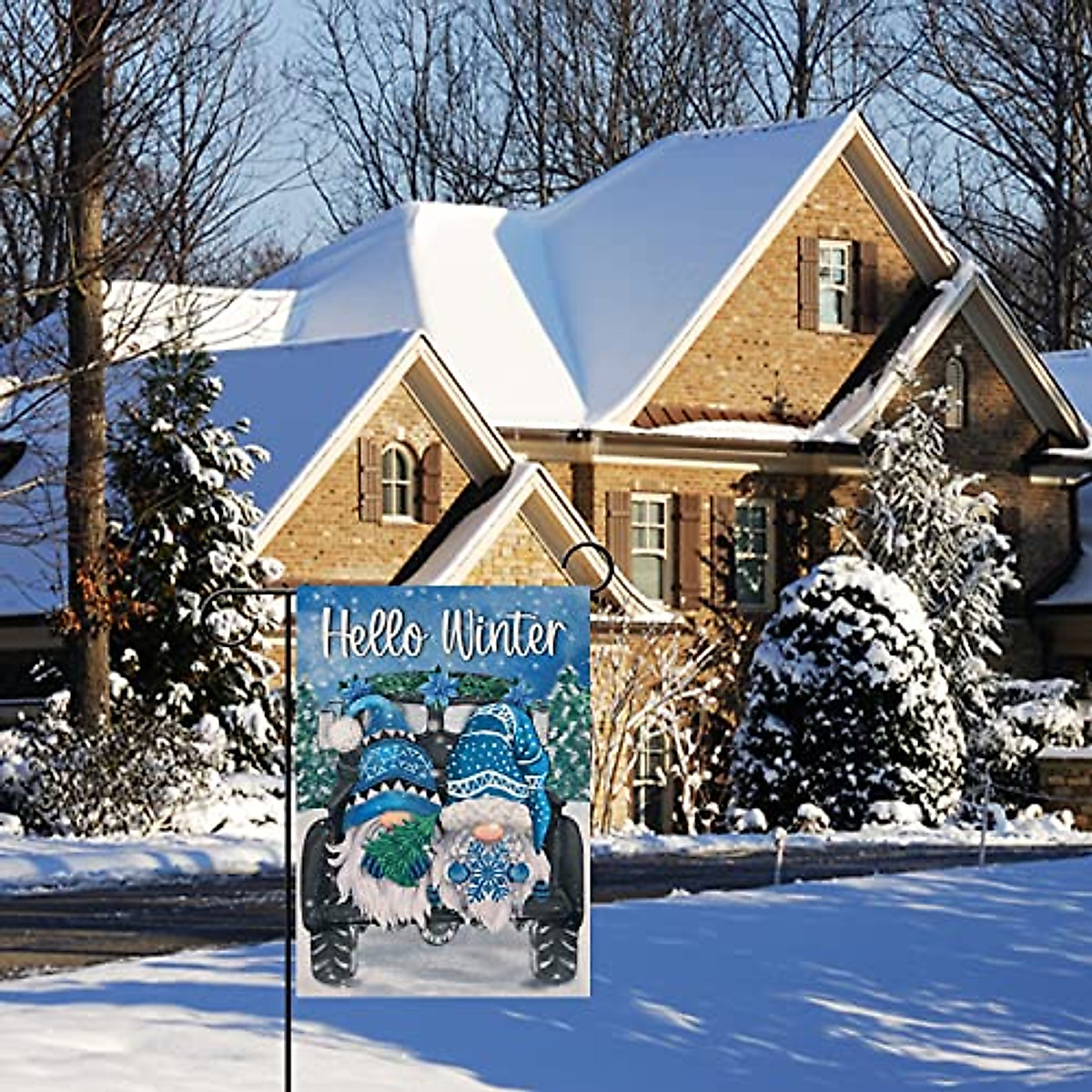 Covido Home Decorative Hello Winter Blue Gnome Garden Flag, Black Truck Yard Outside Decorations, Pickup Outdoor Small Decor Double Sided 12x18