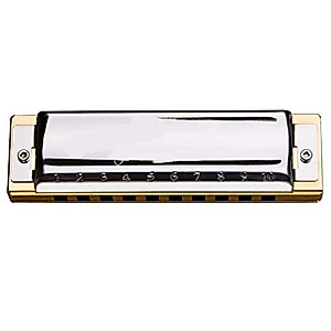 WAAZVXS Harmonica Blues Harp Diatonic Harmonica 10 Hole 20 Tone Musical Instruments Mouth Organ Key C