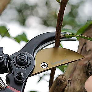 TOOLTENG Garden Bypass Pruning Shears, Heavy-Duty Garden Clippers, Tree Ttrimmers and Rose Pruning Shears, Multipurpose Garden Shears for Gardening, Arboriculture & Plant Nurseries (Black)