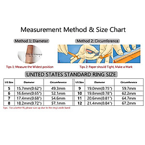 PDWZNBA Love Friendship Ring 18K Gold Silver Rose Plated Cubic Zirconia Stainless Steel Promise Ring Wedding Band Jewelry Birthday Gifts for Women