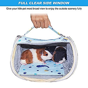 HOMEYA Guinea Pig Carrier Bag,Small Animal Pet Hamster Carrier Portable Breathable Outgoing Sling Bag for Ferret Hedgehog Chinchilla Rat Sugar Glider with Shoulder Strap Outdoor,Travel,Hiking-L(Ocean)