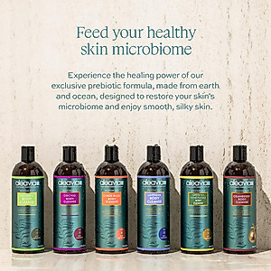 Aleavia Lavender Body Cleanse – Organic & All-Natural Prebiotic Body Wash, Scented with Pure Essential Oils – Nourish Your Skin Microbiome – 16 Oz.