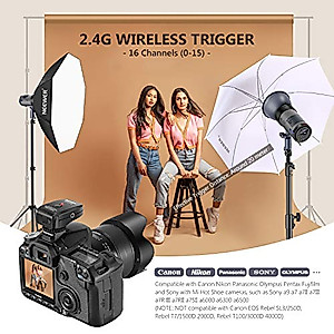 Neewer ML300 300W Outdoor Studio Flash Strobe Li-ion Battery Powered Monolight with 2.4G Wireless Trigger, 1000 Full Power Flashes, Recycle in 0.4-2.5 Sec, Bowens Mount
