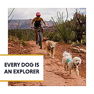 Ruffwear, Swamp Cooler Zip Dog Vest, Evaporative Cooling for Hot Weather, Aurora Teal, Small