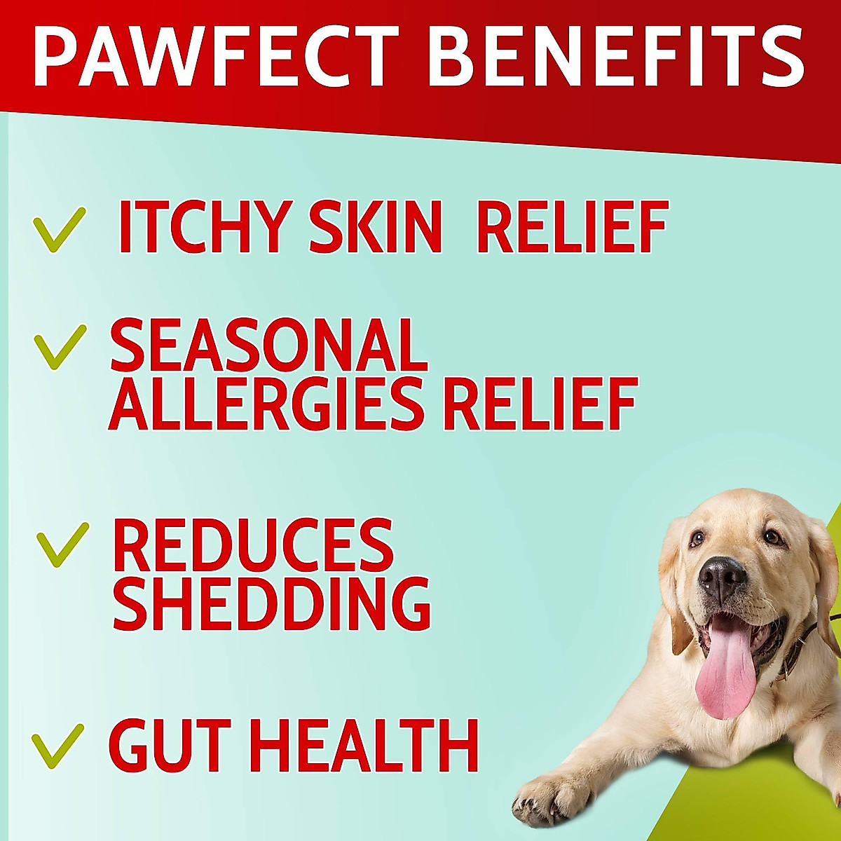Pawfect Dog Allergy Relief Chews - Anti-Itch Skin Coat Supplement - Itchy Skin Relief Treatment Pills w/ Omega 3 Fish Oil - Itching & Paw Licking - Dry Skin & Hot Spots - 120 Immune Treats - Bacon