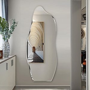 Broojo Irregular Wall Mirror Asymmetrical Accent Wall Mounted Mirror 19.6 x 47 Inch for Living Room Bathroom Entryway, Dolphin Type