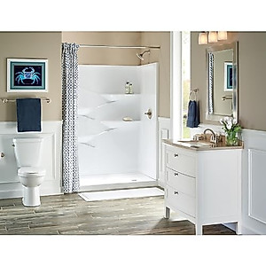 DELTA 79650-BN Windemere Toilet Paper Holder, 8.31 x 3.46 x 2.36 Inches, SpotShield Brushed Nickel