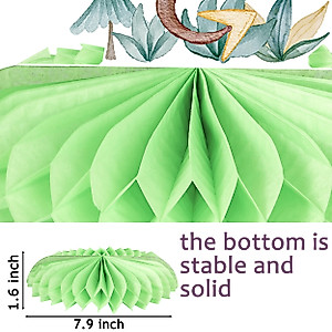 Dragon Honeycomb Centerpieces 11Pcs Dragon Theme Table Centerpieces Dragon Birthday Party Decorations Cute Dragon Honeycomb Decorations for Dragon Knight Baby Shower Supplies