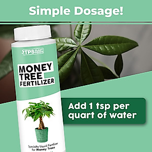 Money Tree Fertilizer for Money Trees and All Pachira Plants, Liquid Plant Food 8 oz (250mL)