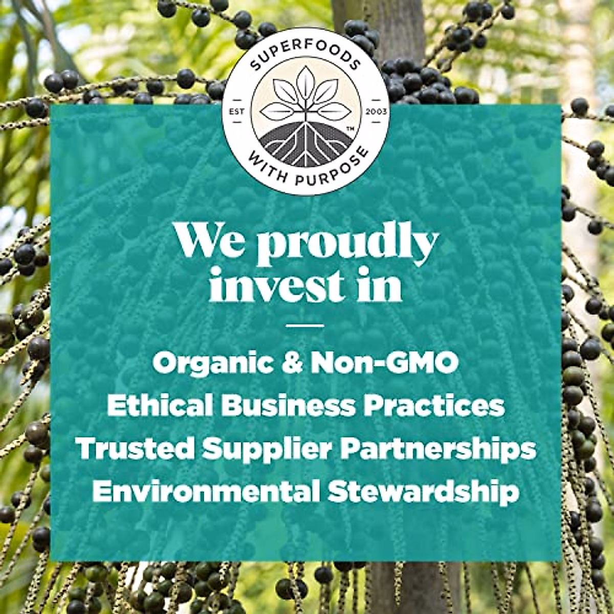 Navitas Organics Acai Powder, 8 oz Bag, 76 Servings — Organic, Non-GMO, Freeze-Dried, Gluten-Free