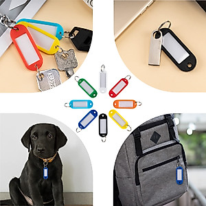 56 Pcs Key Tags,Tags with Keychain Can Be Easily Attached to Backpacks, Pet Collars and Luggage, 8 Different Color Key Rings Also Make Sorting Similar Items Like Keys Much Easier.