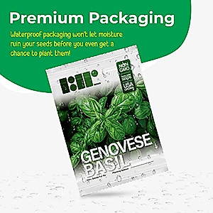 Genovese Basil Seeds for Planting - Heirloom Non-GMO USA Grown - 150+ Seeds - Premium Sweet Basil Seeds for Indoors or Outdoors by RDR Seeds
