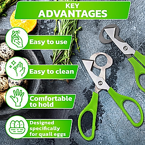 2 Pcs Quail Egg Scissors - Heavy-Duty Quail Egg Cutter Tool with Stainless Steel Sharp Blades & Ergonomic Grip - Compact Size (5.5" x 2.56") with 0.79" Diameter for Quick & Precise Cutting