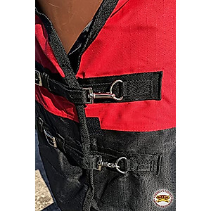 HILASON 600D Winter Waterproof Poly Pony Horse Blanket Red-56 Inches | Horse Blanket | Horse Blankets for Winter Waterproof | Horse Turnout Blanket | Horse Turnout