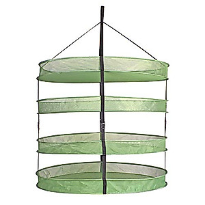 Aiicioo Herb Drying Rack - 4 Layer 3 Feet Collapsible Hanging Mesh Dry Net Folding Mesh Herb Dryer for Plant Weed Mushroom Vegetable Seeds Flowers