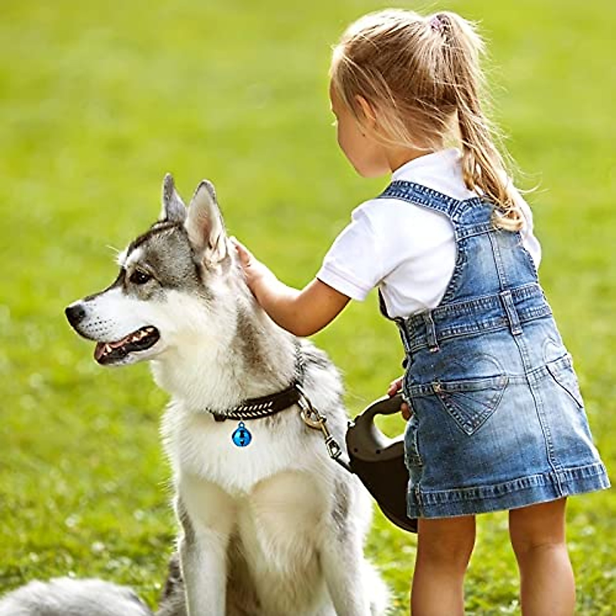 Molain 10 Pcs Cat Dog Collar Bells, Jingle Bell for Cat Collar,Dog Collar Charms,Colourful Pet Small Bells with Clasps Collar Accessories,Festival Party DIY Crafts Decoration