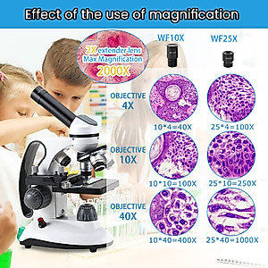 Crspexil 40X-2000X Microscopes for Kids Students Adults, with Microscope Prepared Slides 30p, 2.0 mp Camera, Microscope Accessories, Phone Adapter, Microscopes for School Laboratory Home Education