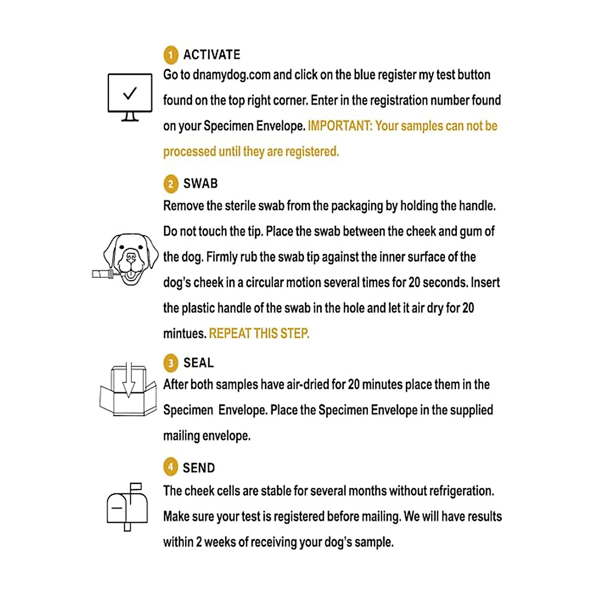 Dna My Dog Genetic Testing Kit – Essential Breed ID Test Mixed Breed Identification, Personality Traits – for Puppies to Adult Dogs, Non-Invasive Cheek Swab