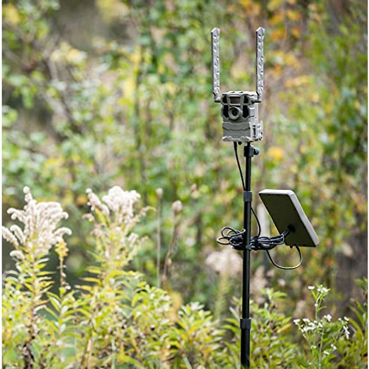 TACTACAM Reveal Adjustable Camera Stake with Solar Panel Mount - Fits All Trail Cameras and Cellular Cameras with 1/4" 20 mounts