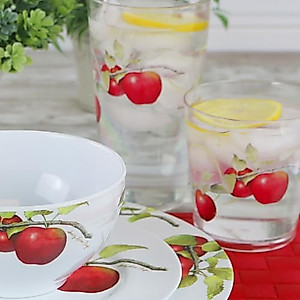 Reston Lloyd Drinkware Harvest Apple Collection by Sandy Clough Acrylic Stemless Wine Glasses, 16-Ounce, Set of 4, 16 oz, Clear