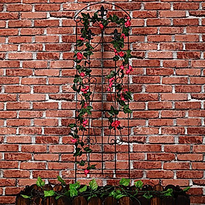 1. GO Metal Garden Trellis Panel Arch for Climbing Plants, 16" Wide x 60" High, OG-0033KD