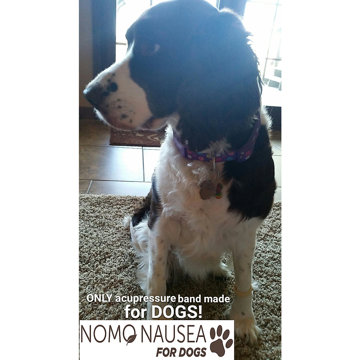 NOMO Peppermint Aromatherapy Motion Sickness Relief Bands for Dogs | Anti-Nausea Wristbands with Gentle Acupressure | 30-Second Nausea Relief Band | Medium to Large | Nude | Single Pack