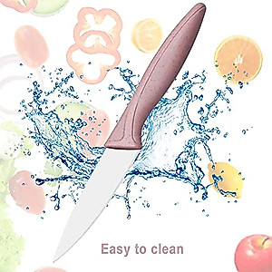 Kocpudu Fruit Knife Small, 3 Sharp and Durable Fruit Knife, Exquisite and Beautiful, with Scabbard, Paring Knife is Suitable for Most Vegetables, Fruits and Meat (pink, Blue, Green)