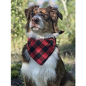 Native Pup 3-Pack Plaid Dog Bandanna (Small, Mixed)