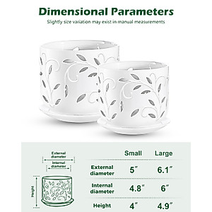 EFISPSS Orchid Pot with Holes, 5+6Inch Ceramic Plant Pots with Drainage Holes and Tray, Promoting Air Circulation and Drainage, Indoor/Outdoor White Flower Pots