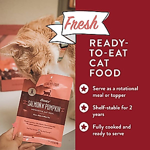 Human-Grade Mixed Variety Pack Wet Cat Food Pouch — Moist, Soft Cat Food Mixer, Topper, and Rotational Meal (2 Chicken, 2 Salmon) by Portland Pet Food Company