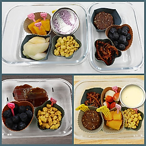 Gpurplebud Bento Box Accessories - 20 Pcs Silicone Lunch Box Dividers, 10PCS Food Picks, 3 x1.7 oz Salad Dressing Container To Go, Lunch Accessories for Bento Box