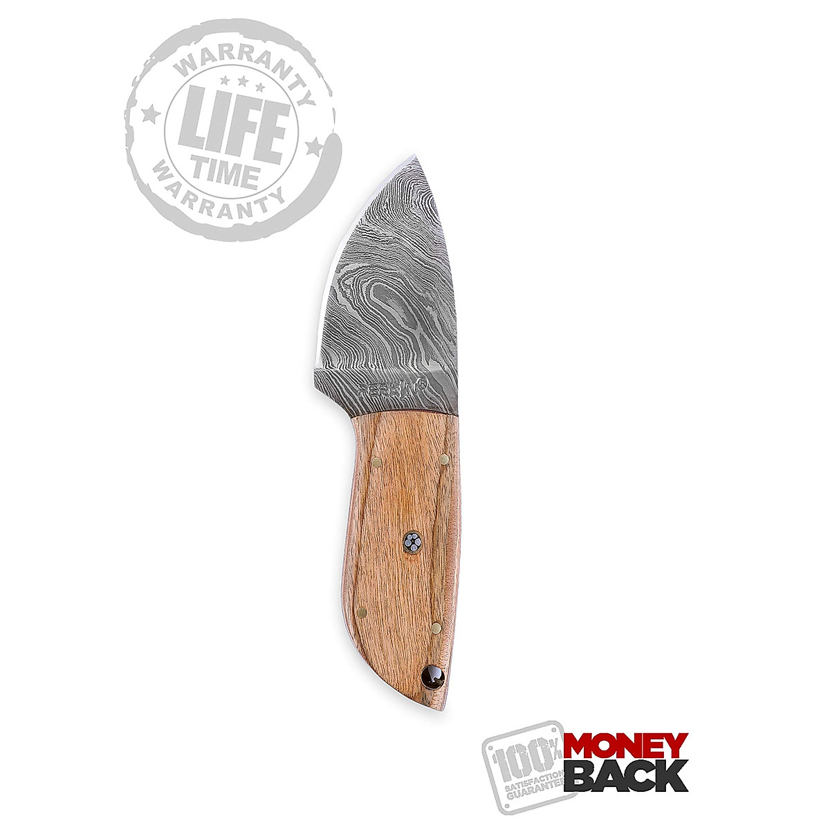 Now Handcrafted Small Hunting Knife - Damascus Steel - Neck Knife