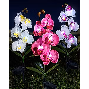3 Pack Solar Garden Lights, Newest Version Solar Lights Outdoor Decorative, Flower Lights for Yard, Garden Decoration, Christmas Decoration Outdoor Yard